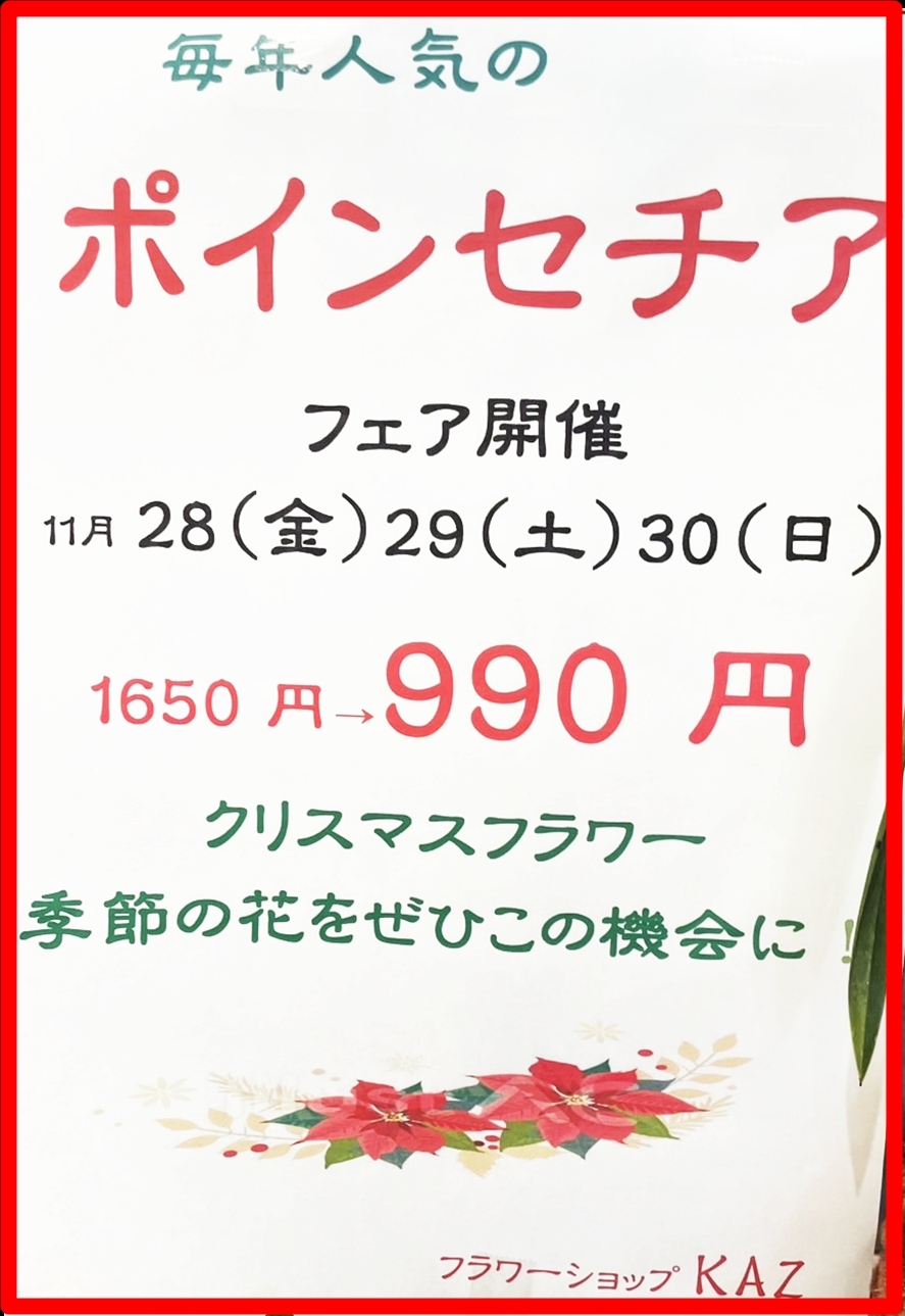 フラワーショップKAZ（カズ）1階｜ポインセチア フェア開催 11月28日（金）29日（土）30日（日）の3日限定♪ | アルプラザ醍醐
